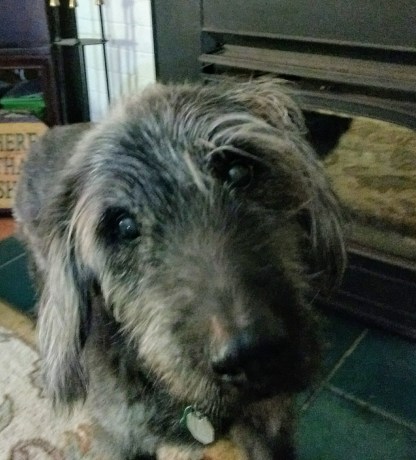 What Does 25 Years Sober Feel Like? | A Spiritual Evolution